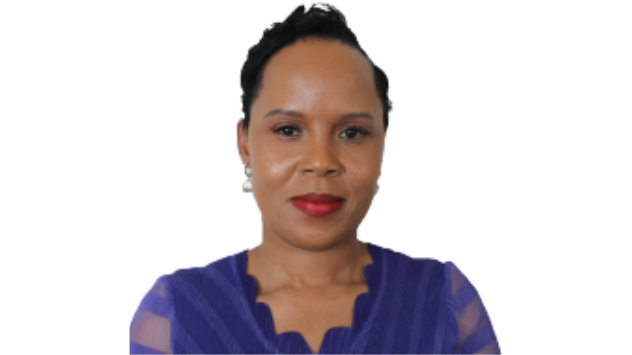 Organogram - KZN Works